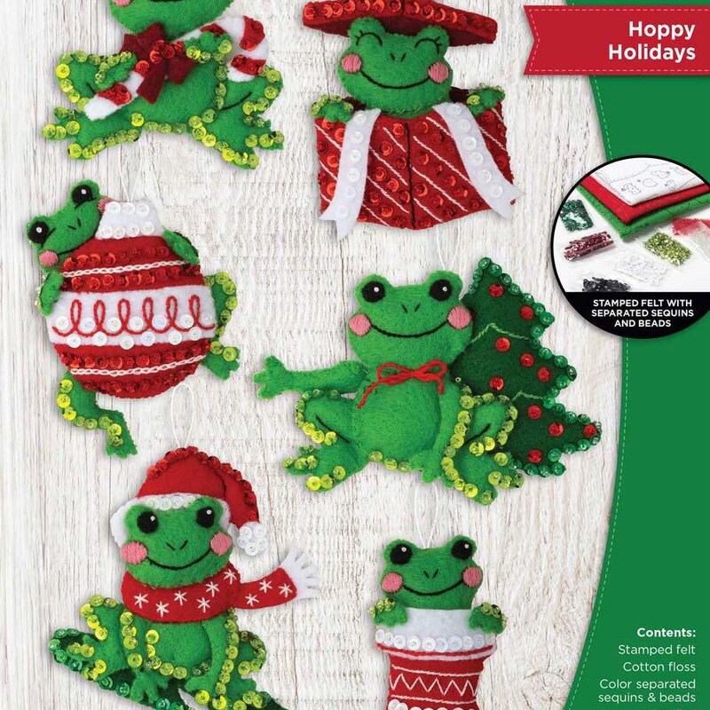 Frog Craft Kit - Etsy