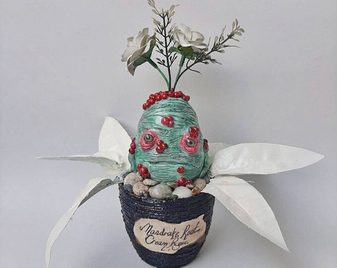 Mandrake Root Madragora Poison Plants Easter Decor Spring Flowers Cream ...