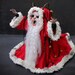 Krampus Figurine, Creepy Christmas, Horror Christmas, Bad Santa, Evil ...