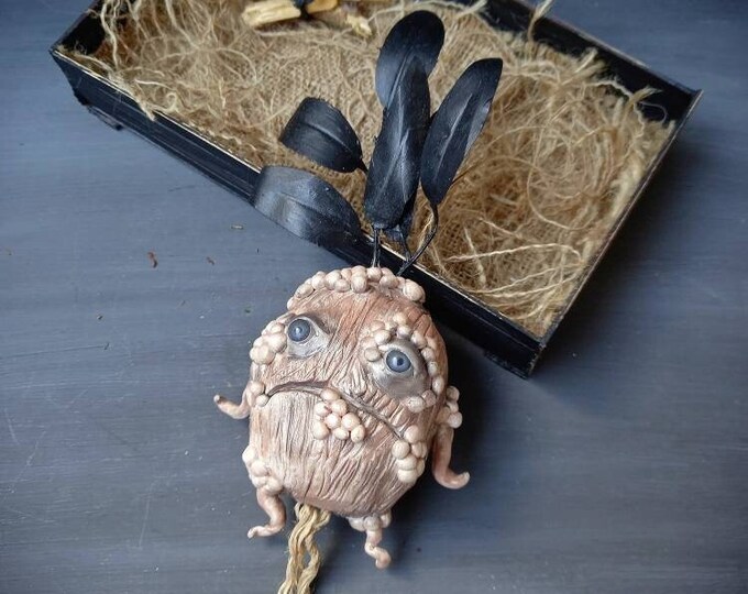 Mandrakes Plant, Mandragora, Poison Plants, Spooky Garden - Etsy