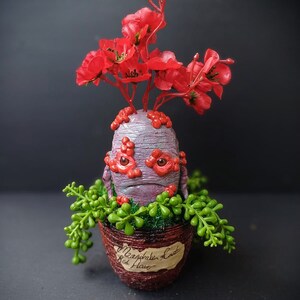 Mandrake Root, Mandragora, Mandrake Plant, Fantasy Creature, Creepy ...