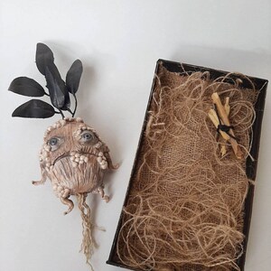 Mandrakes Plant Mandragora Poison Plants Spooky Garden | Etsy