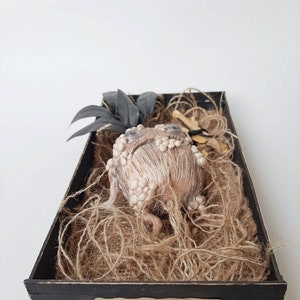 Mandrakes Plant Mandragora Poison Plants Spooky Garden | Etsy