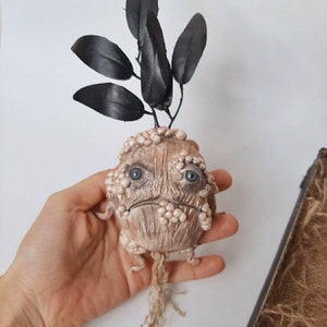 Mandrakes Plant Mandragora Poison Plants Spooky Garden | Etsy