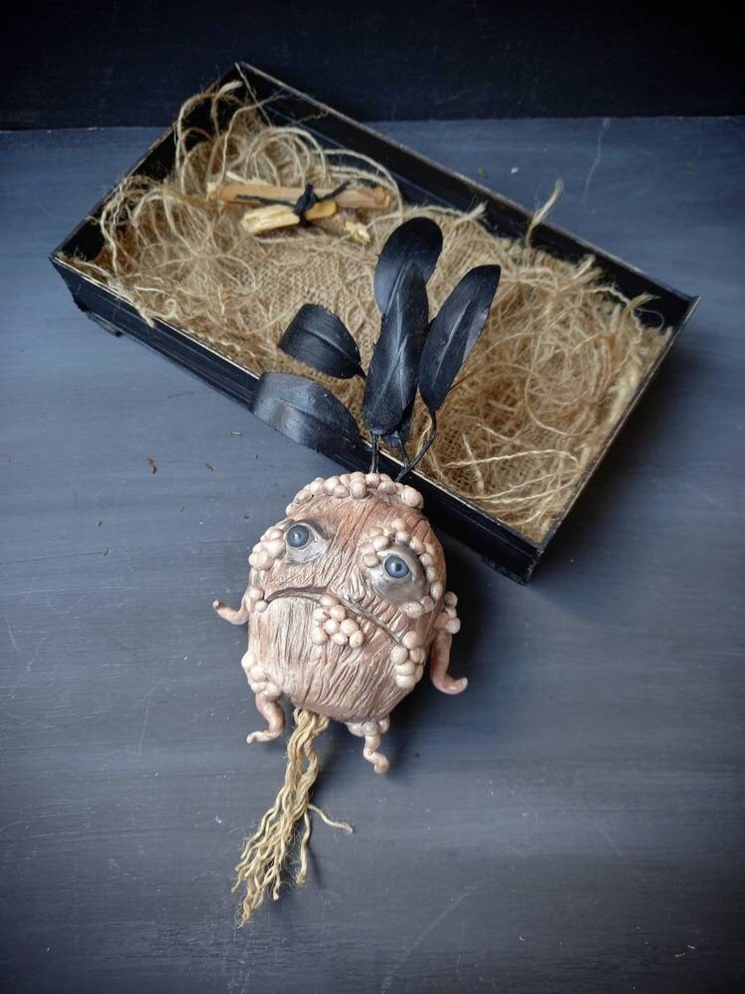 Mandrakes Plant Mandragora Poison Plants Spooky Garden - Etsy