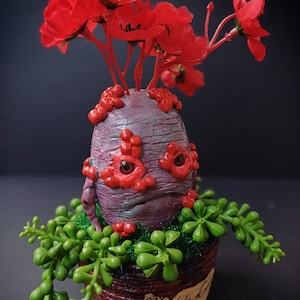 Mandrake Root, Mandragora, Mandrake Plant, Fantasy Creature, Creepy ...