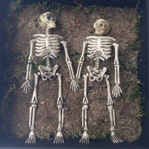 Eternal Love Skeleton Couple Valentines Day Gift Skeleton - Etsy