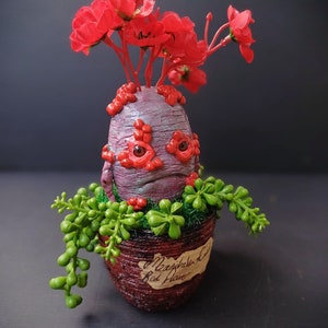 Mandrake Root, Mandragora, Mandrake Plant, Fantasy Creature, Creepy ...