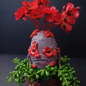 Mandrake Root, Mandragora, Mandrake Plant, Fantasy Creature, Creepy ...