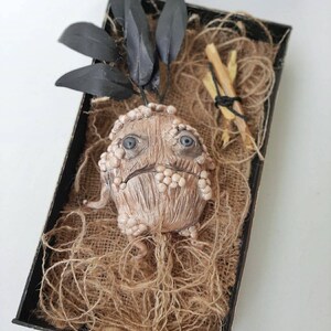 Mandrakes Plant Mandragora Poison Plants Spooky Garden | Etsy