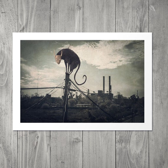 Surreal Cat Art Print - Etsy