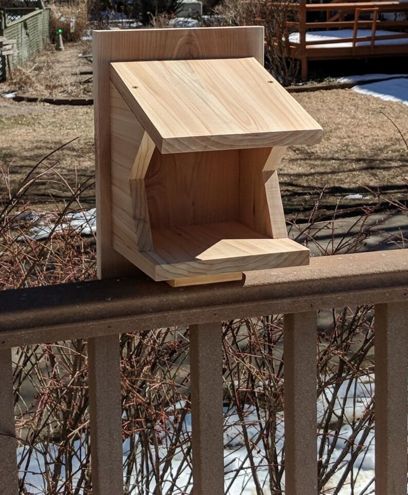 Cedar Nesting Shelf for American Robin, Barn Swallow, Eastern and Say's ...