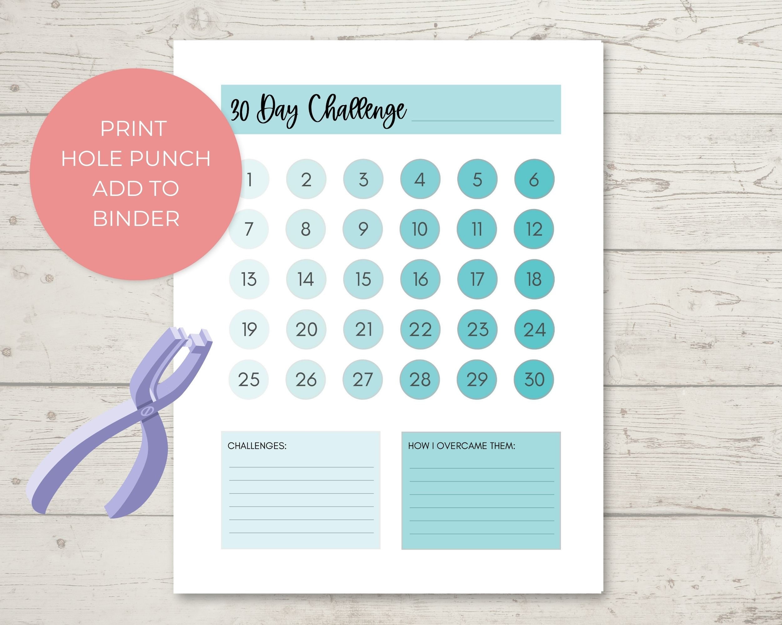 Minimalist Instant Download Printable 30-day Challenge - Etsy