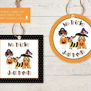 Instant Download, Printable 2 & 2.5 Halloween Trick or Treat Tag, No ...