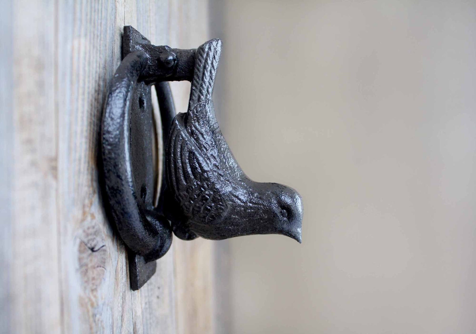 Cast Iron Bird Door Knocker Unique Front Porch Decor - Etsy
