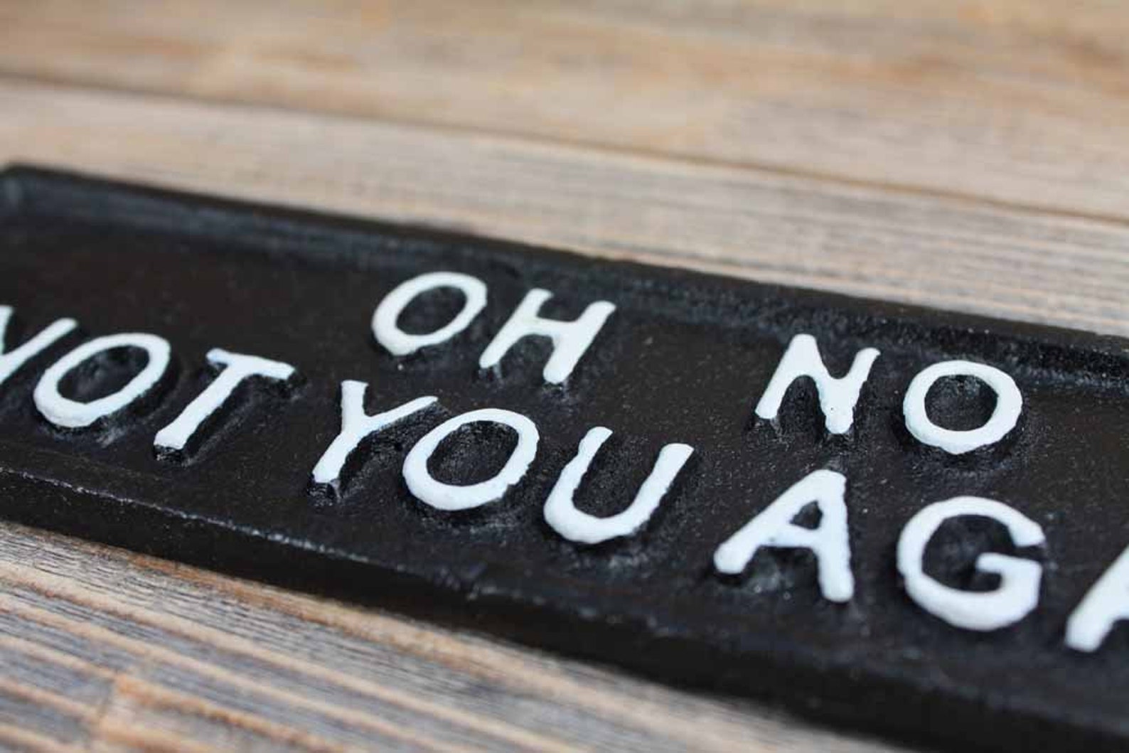 Oh No Not You Again Sign Funny Welcome Cast Iron Sign | Etsy