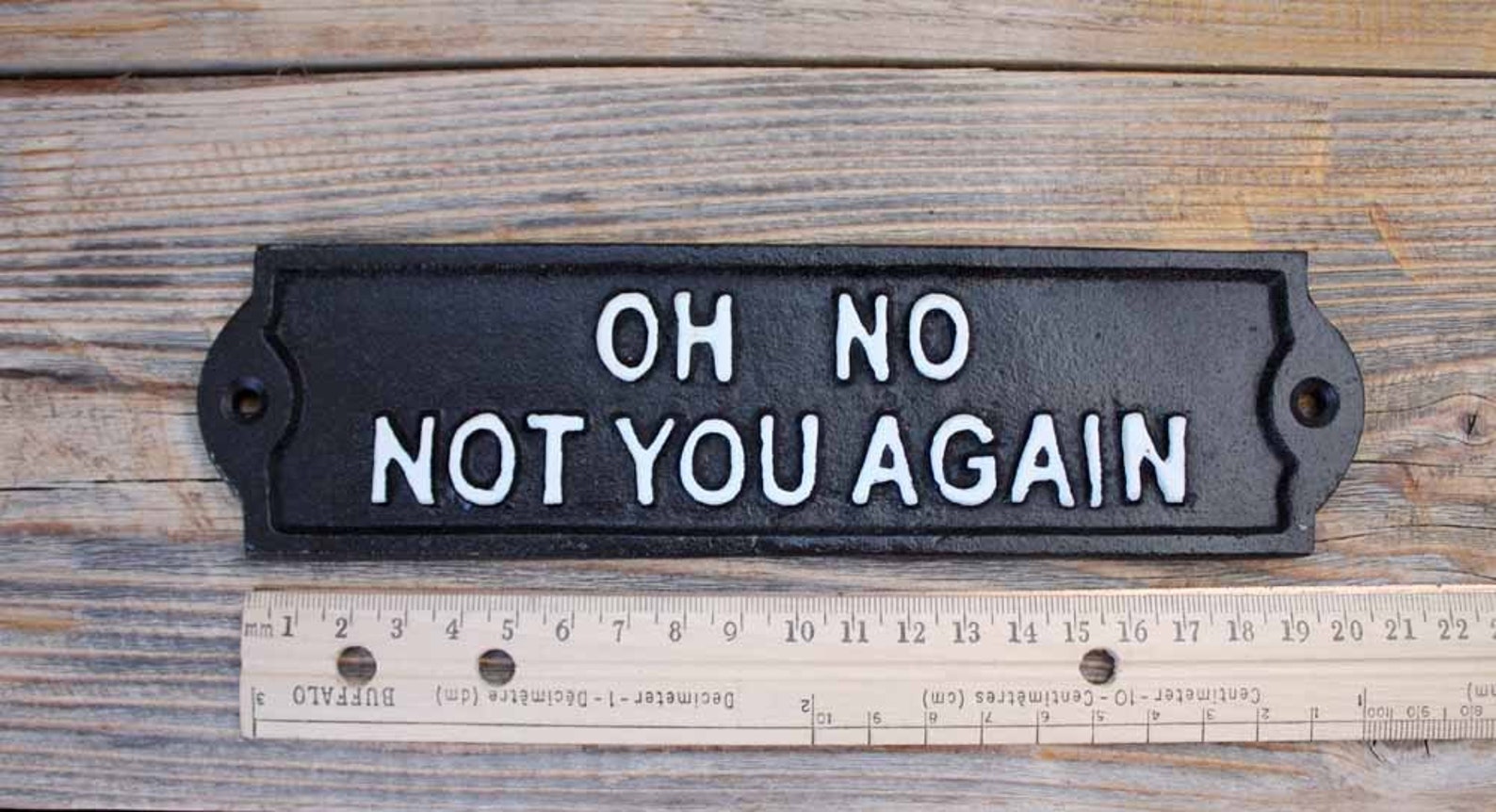 Oh No Not You Again Sign Funny Welcome Cast Iron Sign | Etsy