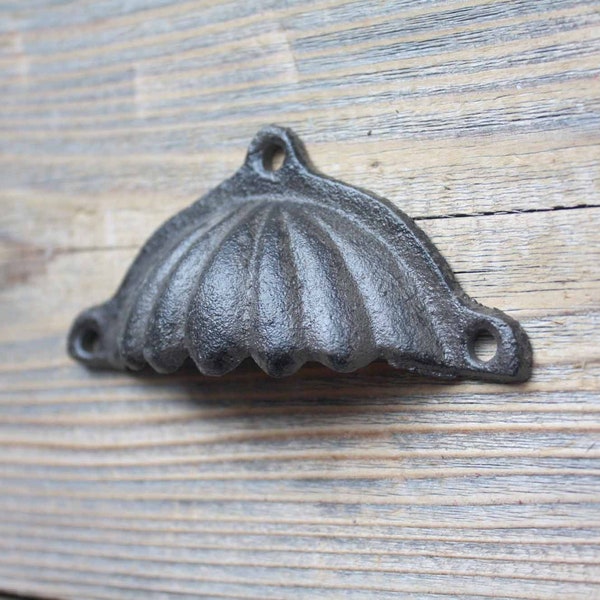 Shell Drawer Pull - Etsy