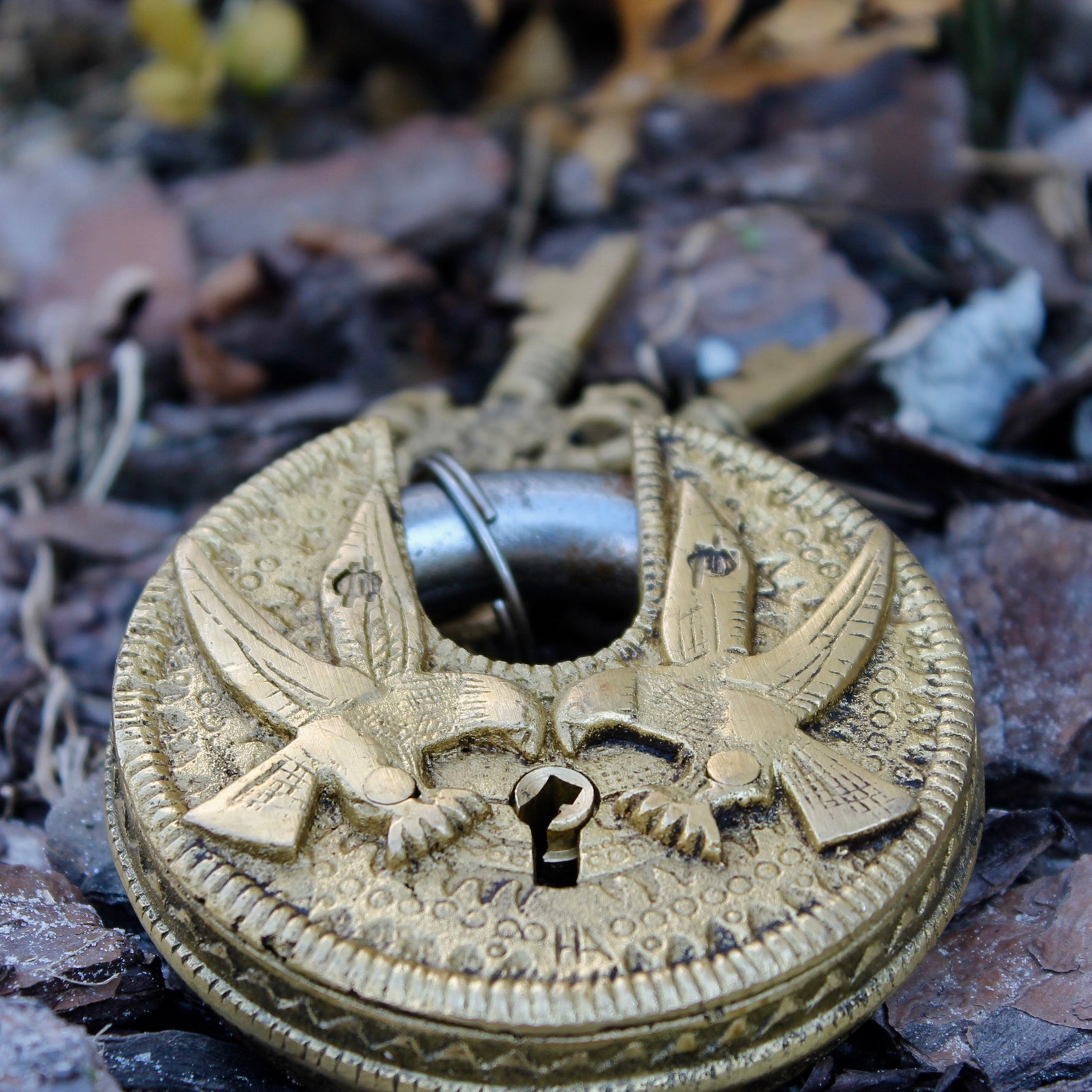 Vintage Padlock Hawk Eagle Shape Antique Working Lock - Etsy