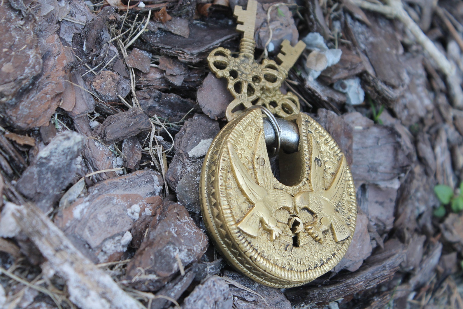 Vintage Padlock - Hawk Eagle Shape Antique Working Lock - Bronze Lock ...