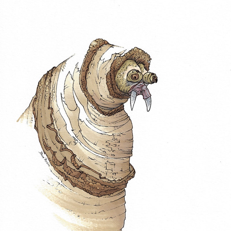 Maggots - Etsy