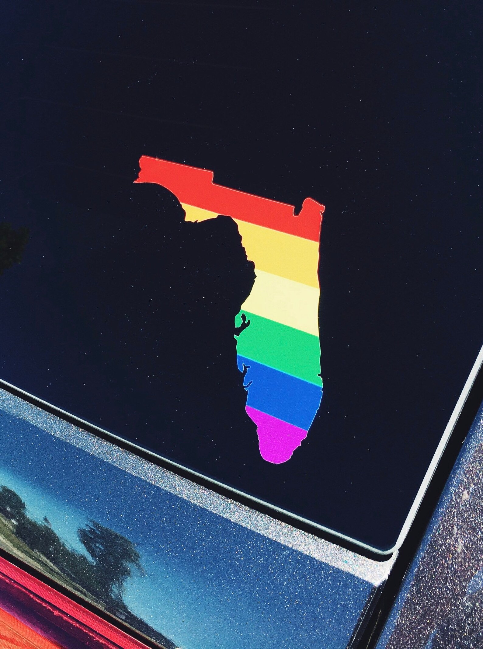 Florida Vinyl Decal, Florida State Decal, Florida Car Decal, FL Rainbow ...
