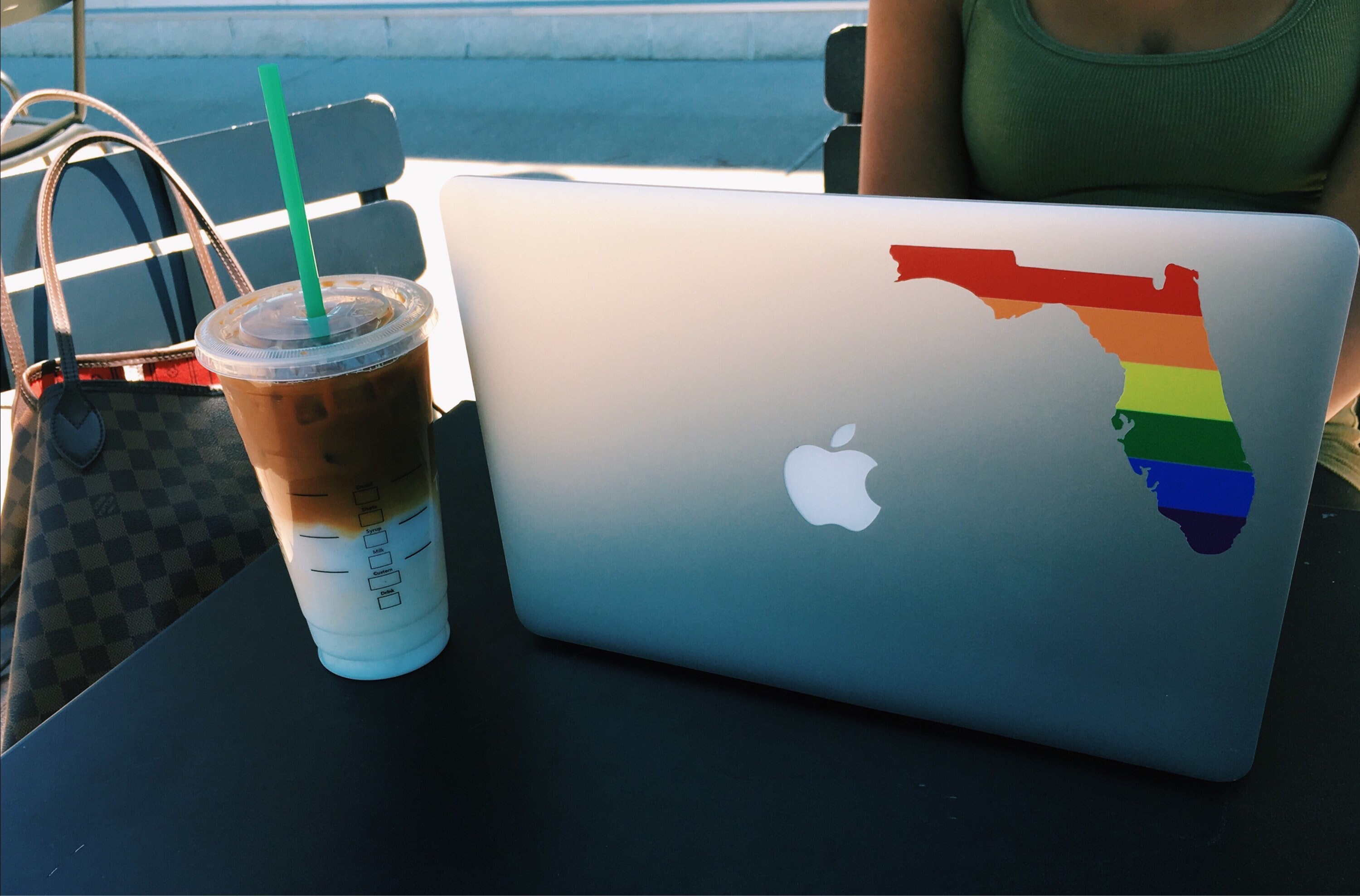 Florida Vinyl Decal, Florida State Decal, Florida Car Decal, FL Rainbow ...