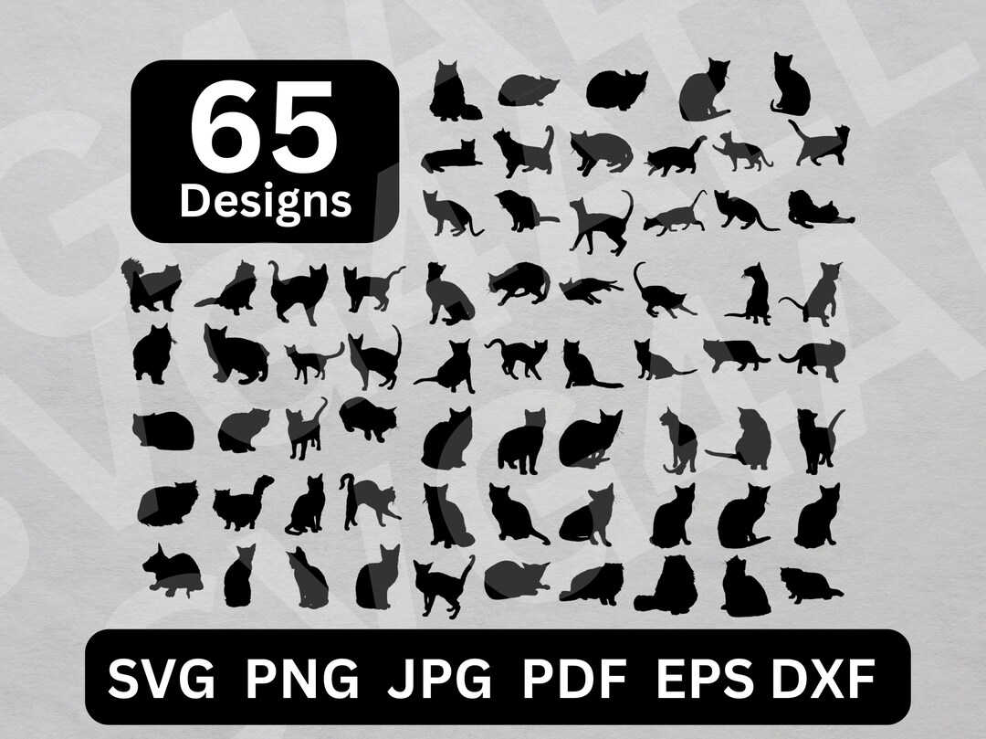 Cat SVG, Cat Svg Bundle, Cat PNG, Cat Clipart, Cat Cut File, Cat Design ...
