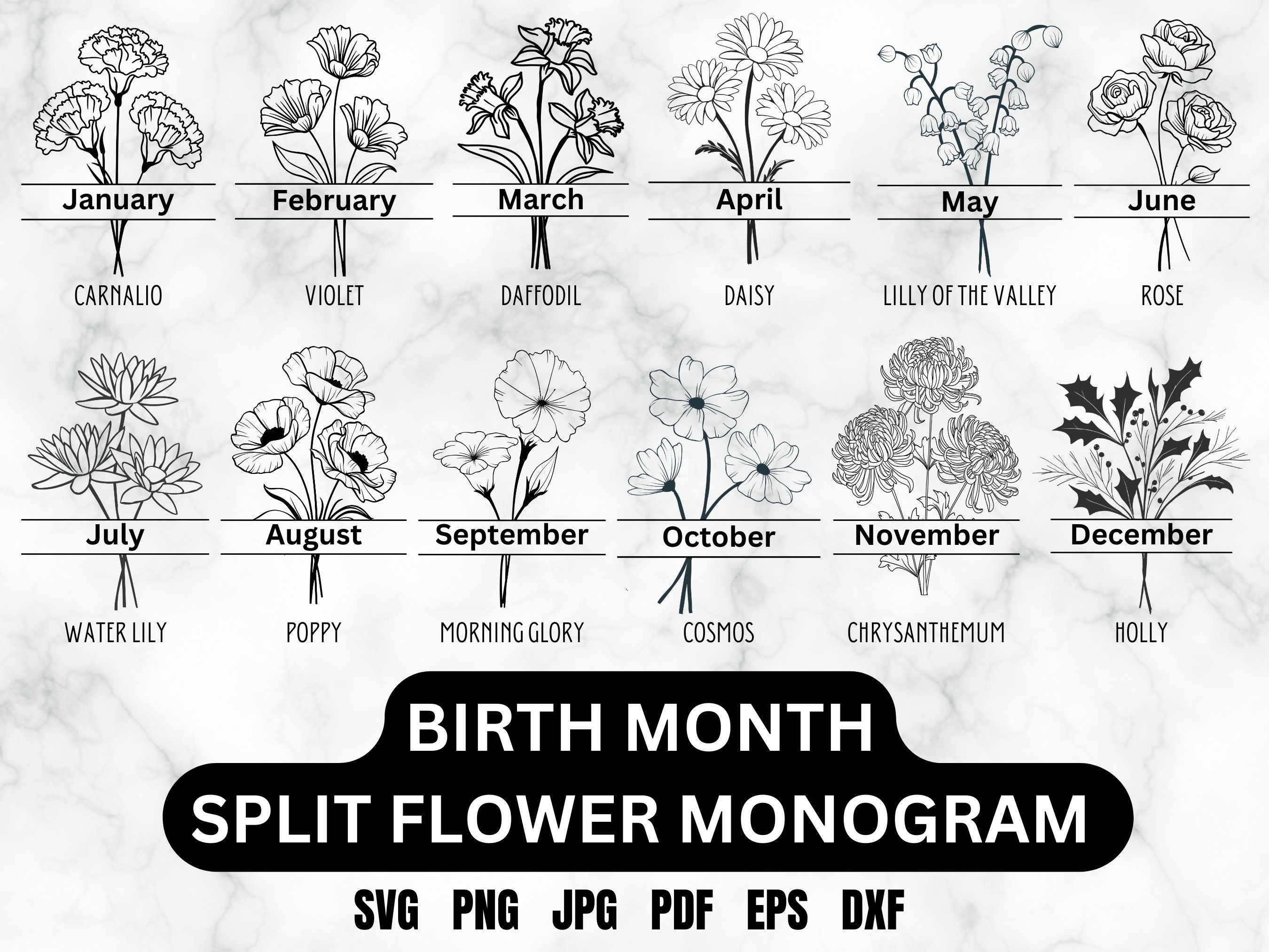 Birth Month Split Flower Monogram SVG, Birth Month Flower Svg Laser ...