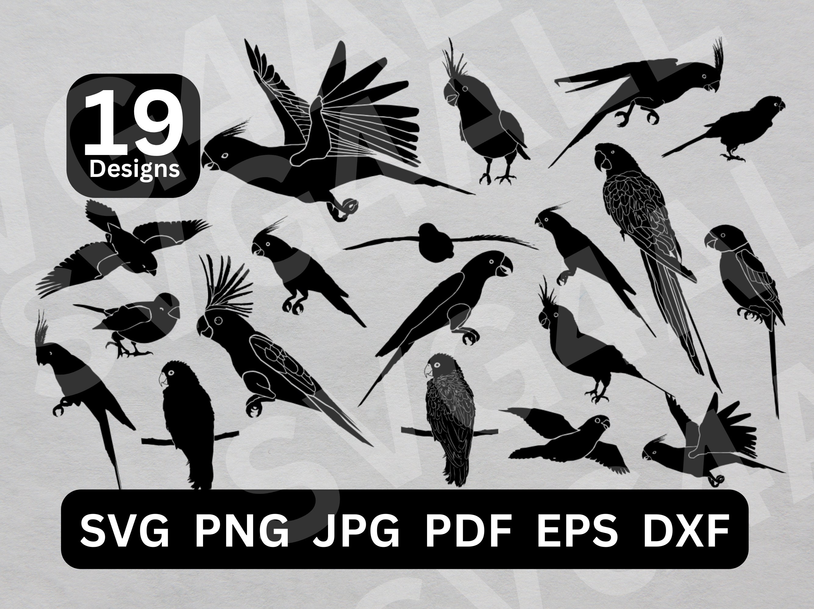 Parrot SVG, Bird SVG, Parrot Silhouette, Parrot Cut File, Parrot ...