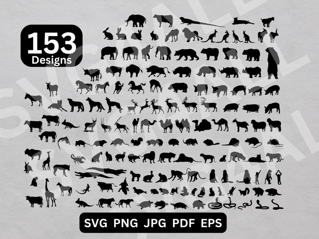 Animal Svg, Animal Bundle Svg, Animal PNG, Animal Clipart, Animal Cut ...