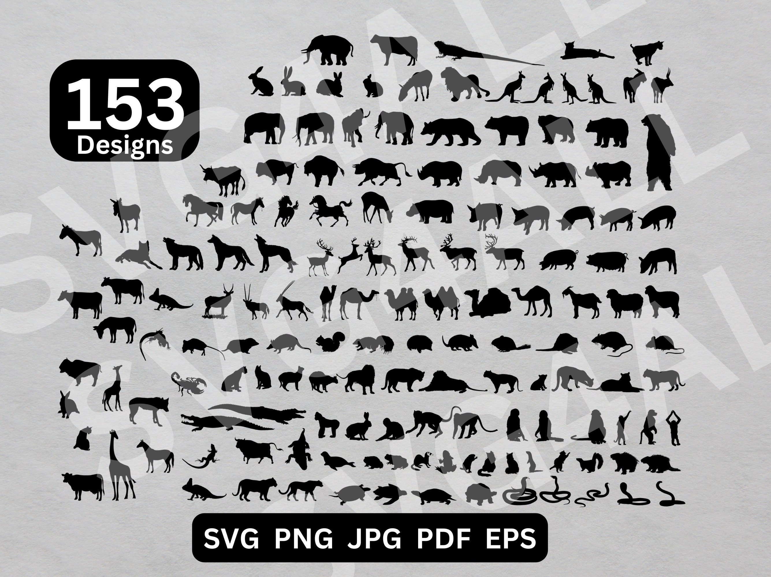 Animal Svg, Animal Bundle Svg, Animal PNG, Animal Clipart, Animal Cut ...