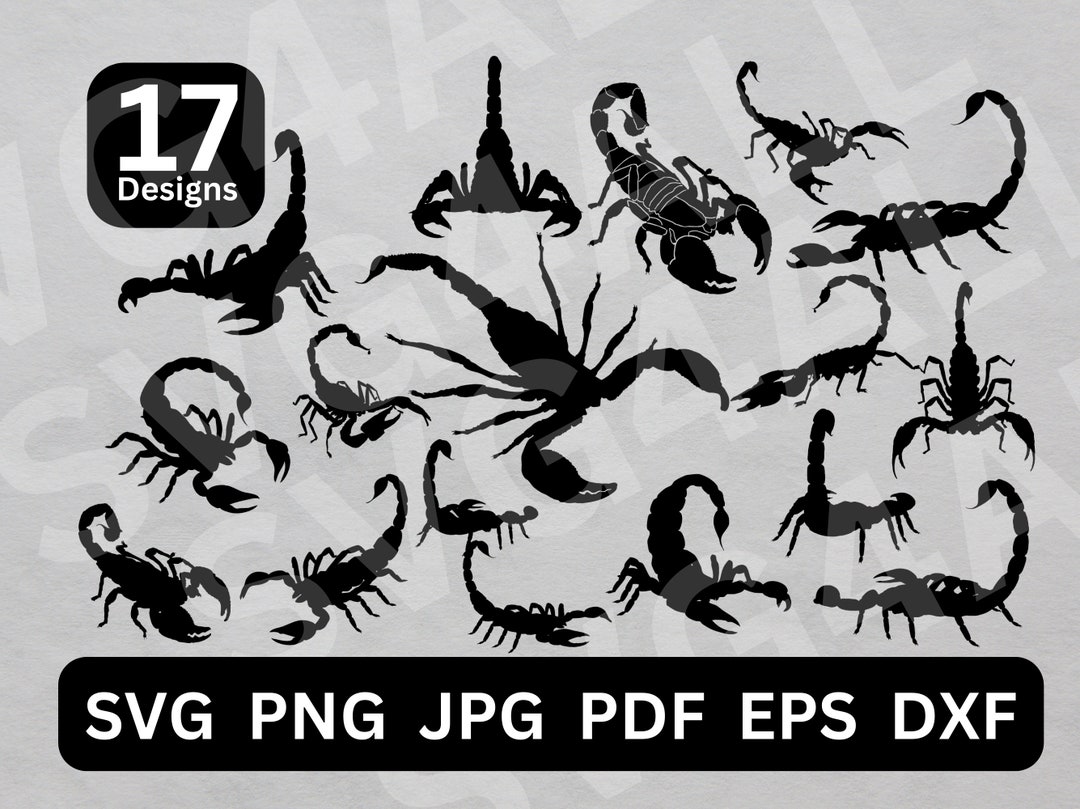 Scorpion SVG, Scorpion SVG Bundle, Scorpion SVG Files, Scorpion Cut ...