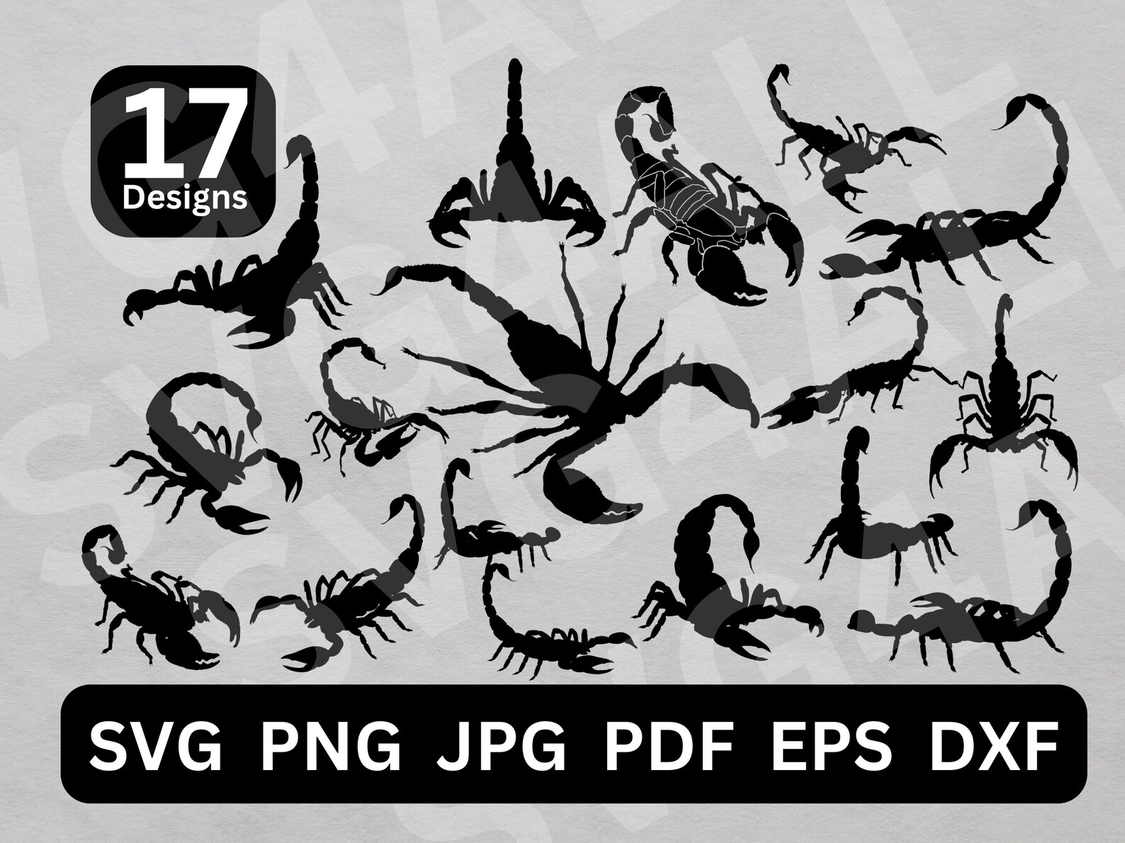 Scorpion SVG, Scorpion SVG Bundle, Scorpion SVG Files, Scorpion Cut ...