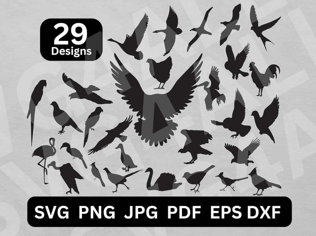 Bird Svg File, Birds Cricut, Bird Png, Birds Clipart, Bird Silhouette ...