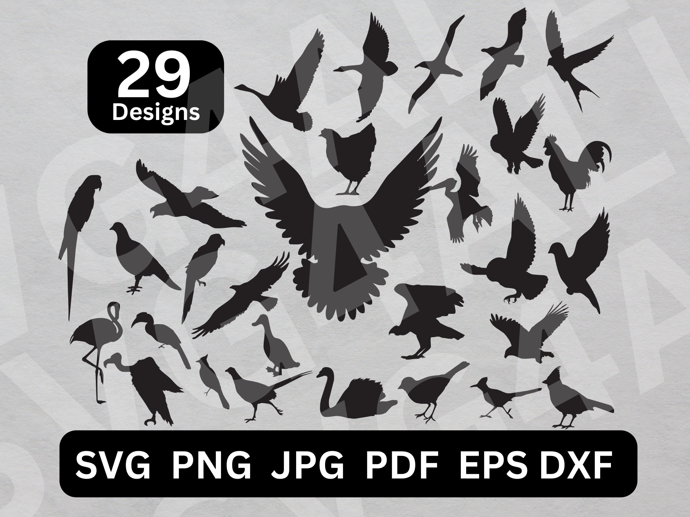 Bird Svg File, Birds Cricut, Bird Png, Birds Clipart, Bird Silhouette ...