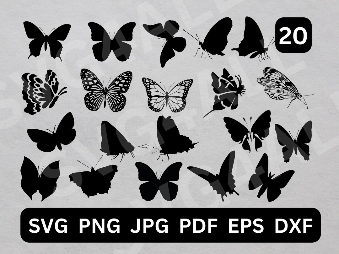 Butterfly SVG, Butterfly PNG, Butterfly Bundle SVG Files, Butterfly Cut ...