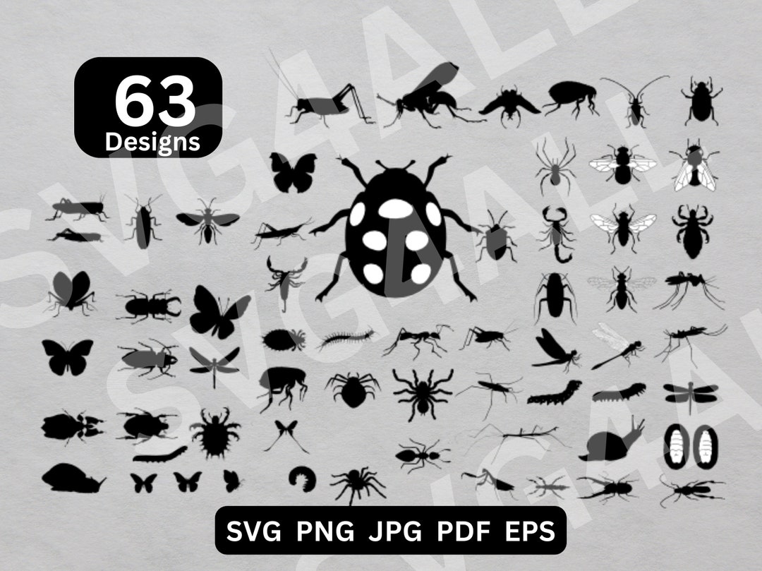 Insect SVG, Insect PNG, Insect Bundle SVG Files, Insect Cut File ...
