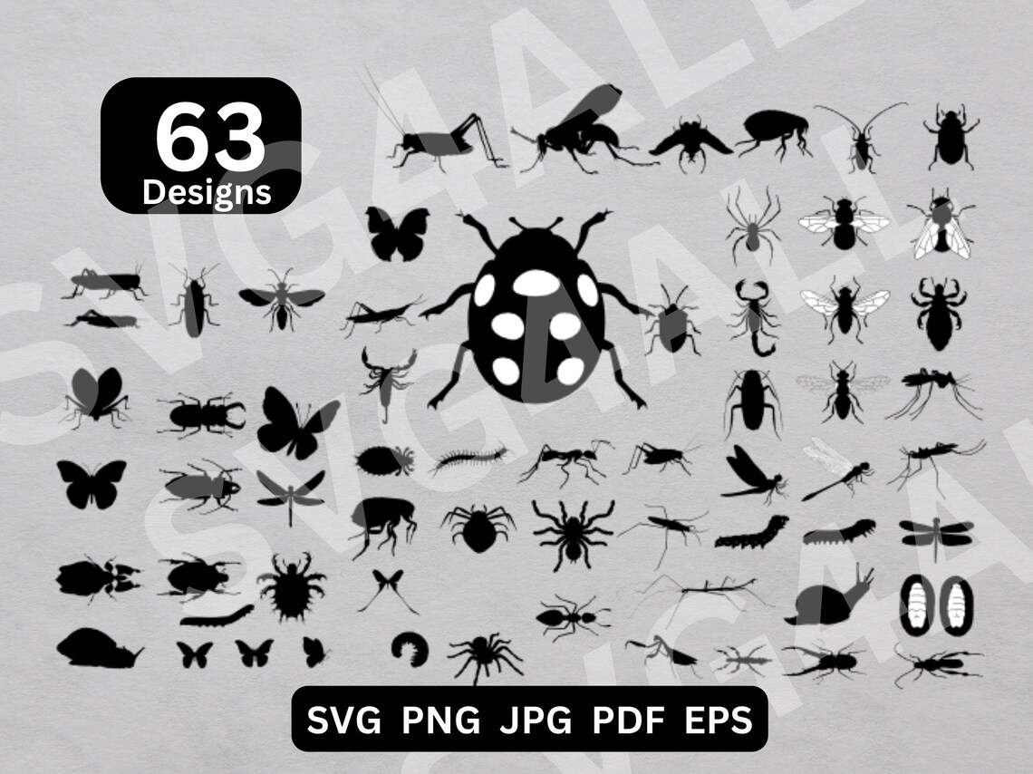 Insect SVG, Insect PNG, Insect Bundle SVG Files, Insect Cut File ...