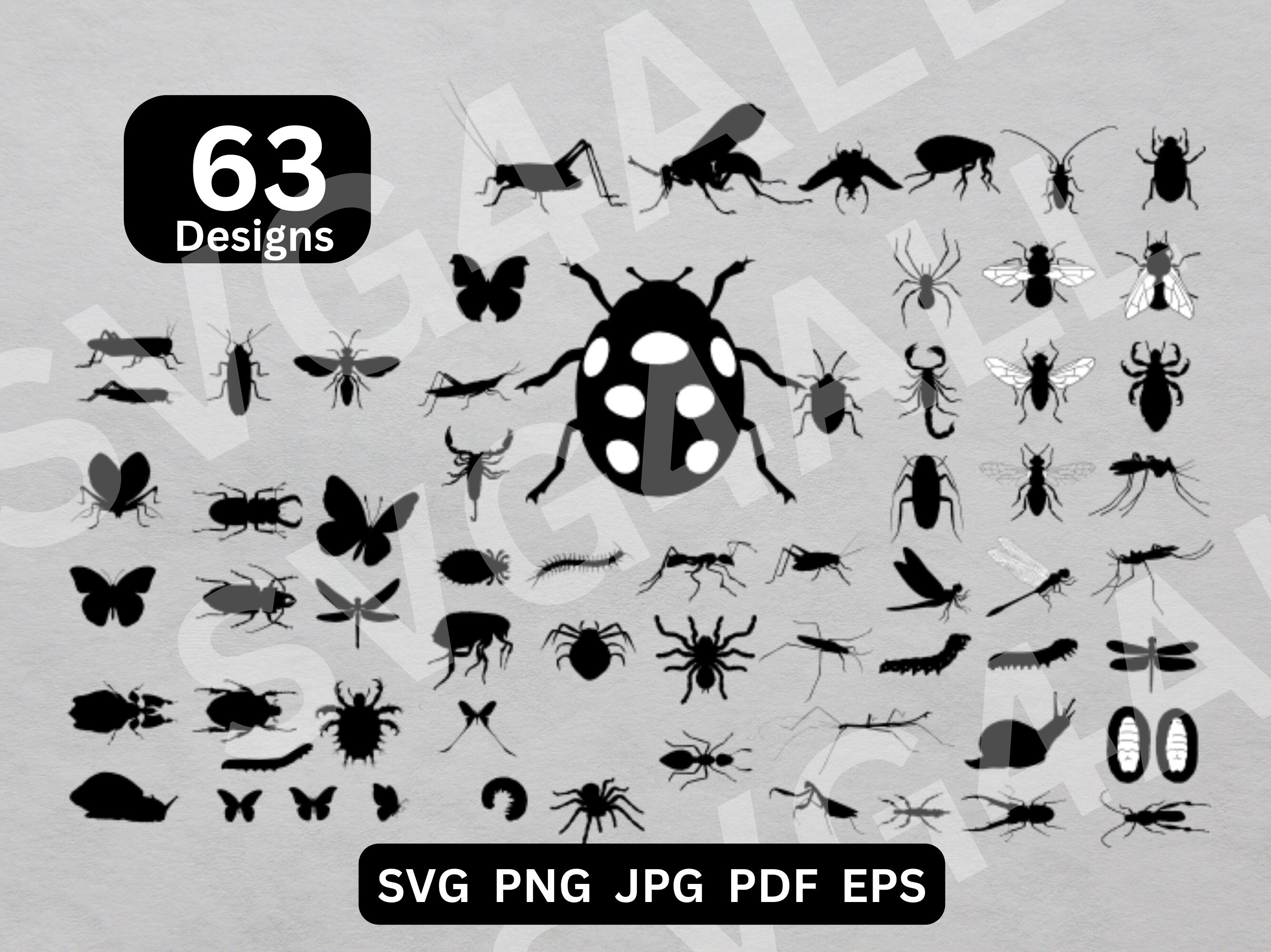 Insect SVG, Insect PNG, Insect Bundle SVG Files, Insect Cut File ...