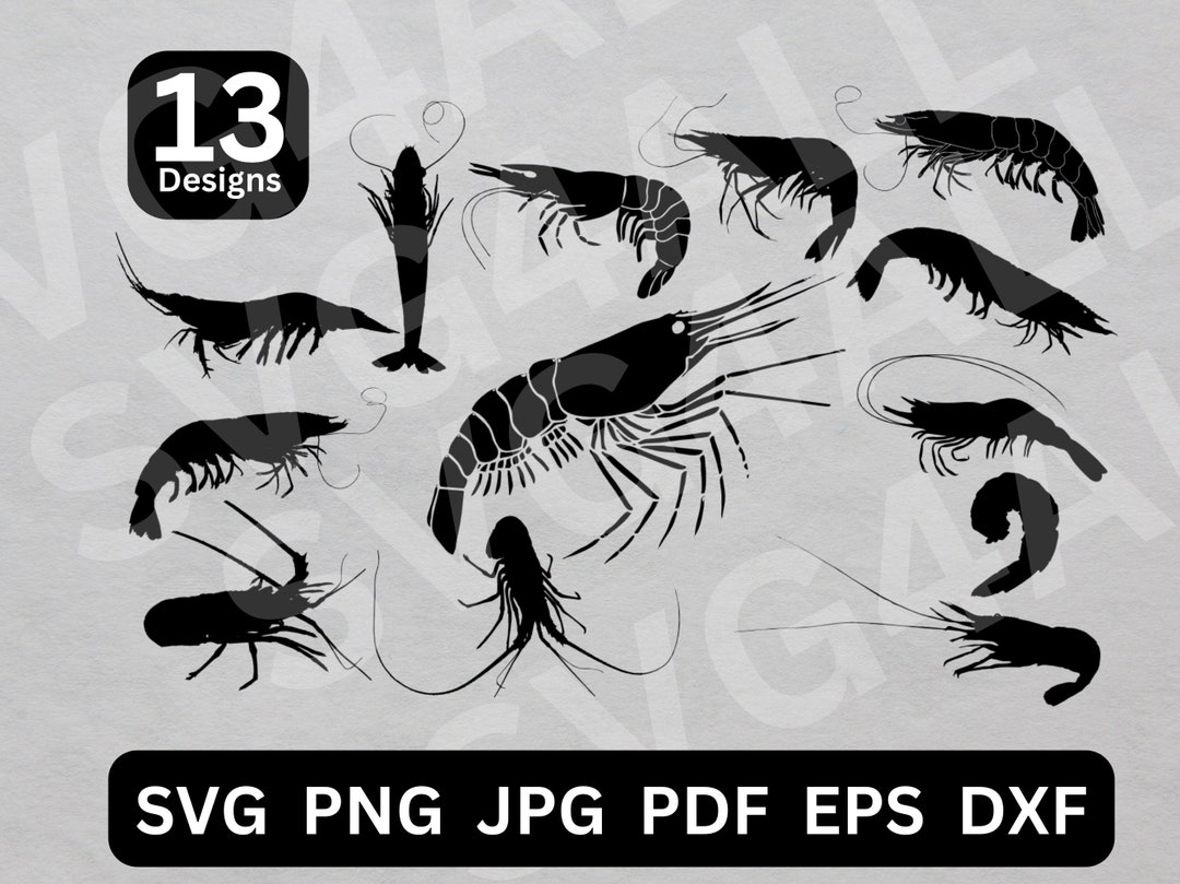 Shrimp SVG, Shrimp SVG Bundle, Shrimp SVG Files, Shrimp Cut File ...