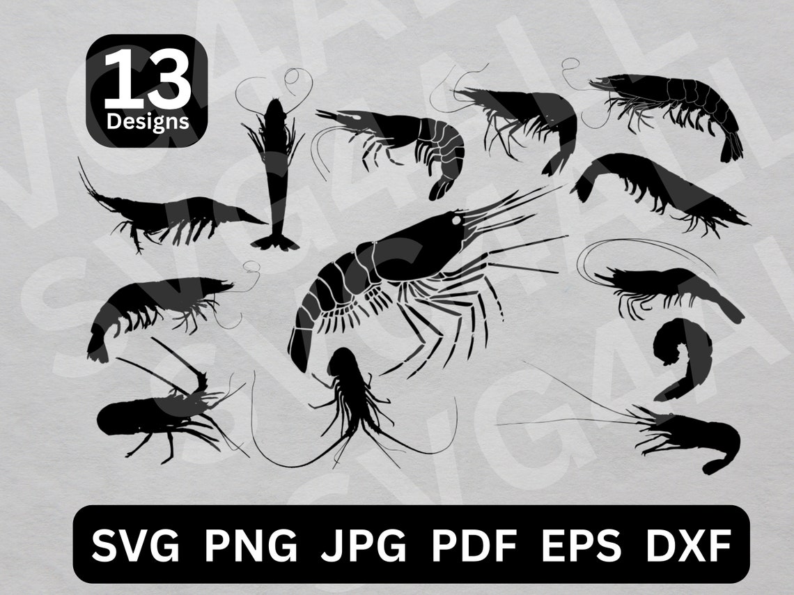 Shrimp SVG, Shrimp SVG Bundle, Shrimp SVG Files, Shrimp Cut File ...