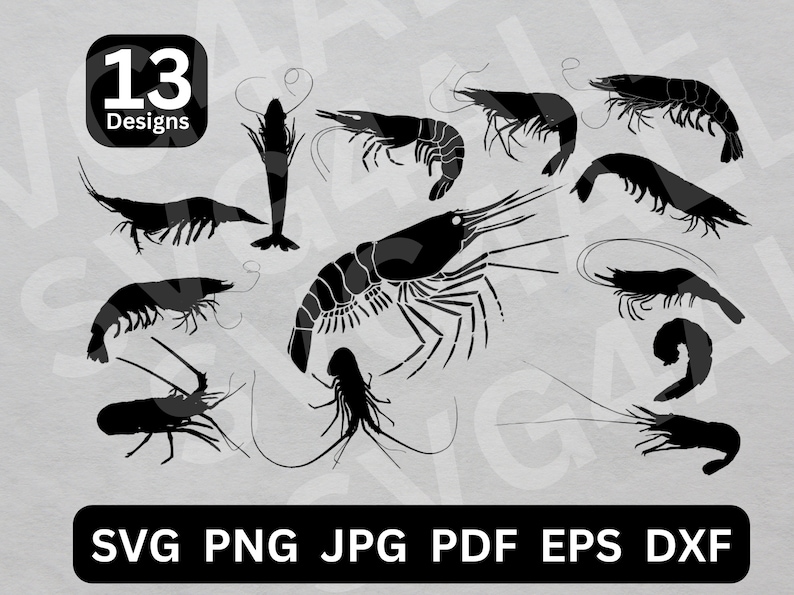 Shrimp SVG, Shrimp SVG Bundle, Shrimp SVG Files, Shrimp Cut File ...