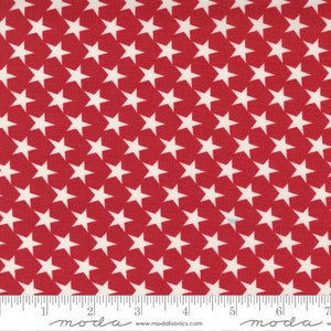 Celebrate Quilt Kit With Belle Isle by Moda - Etsy