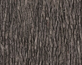 Textured Birch Bark Fabric - Etsy