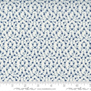Celebrate Quilt Kit With Belle Isle by Moda - Etsy
