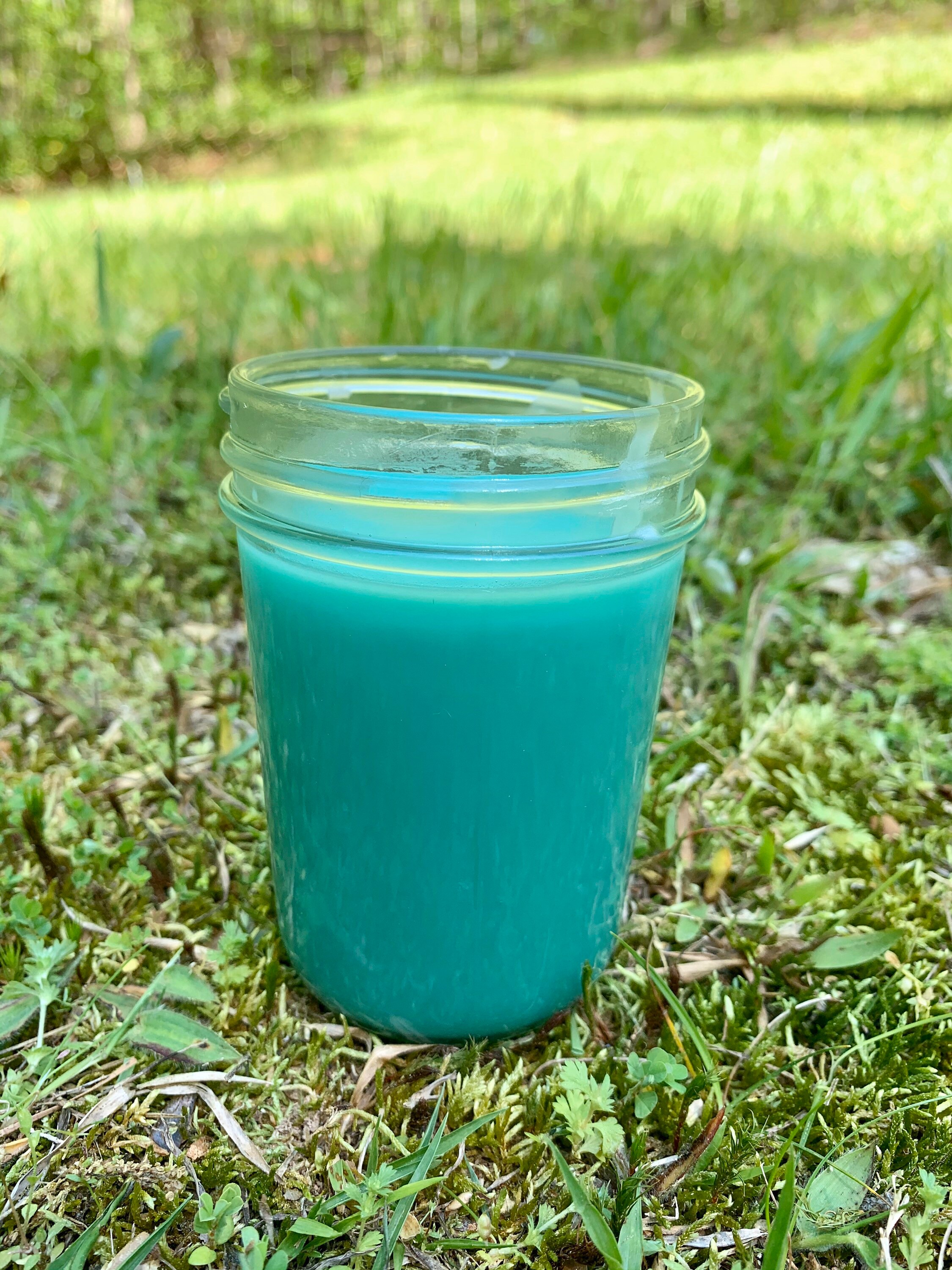 Cucumber Melon Candle/ Fresh Candle/ Clean Candle/ Gift for - Etsy