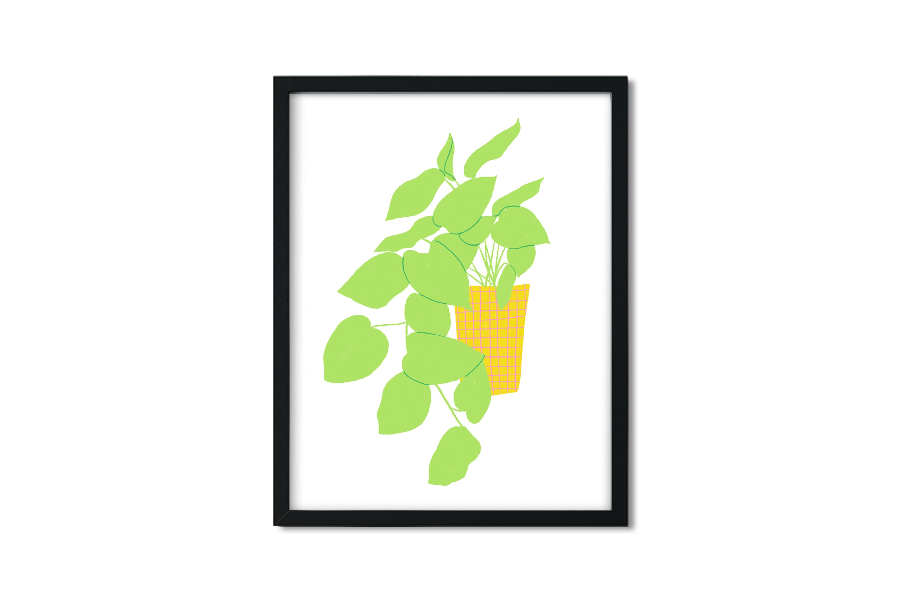 Pothos Plant Illustration Print Digital Download, Poster, Wall Art ...