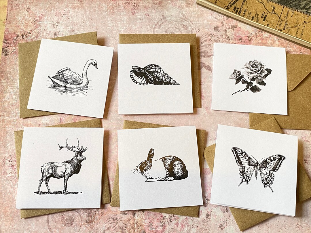 Mini Cards Set of 12 Cards With Envelopes Retro Nature - Etsy