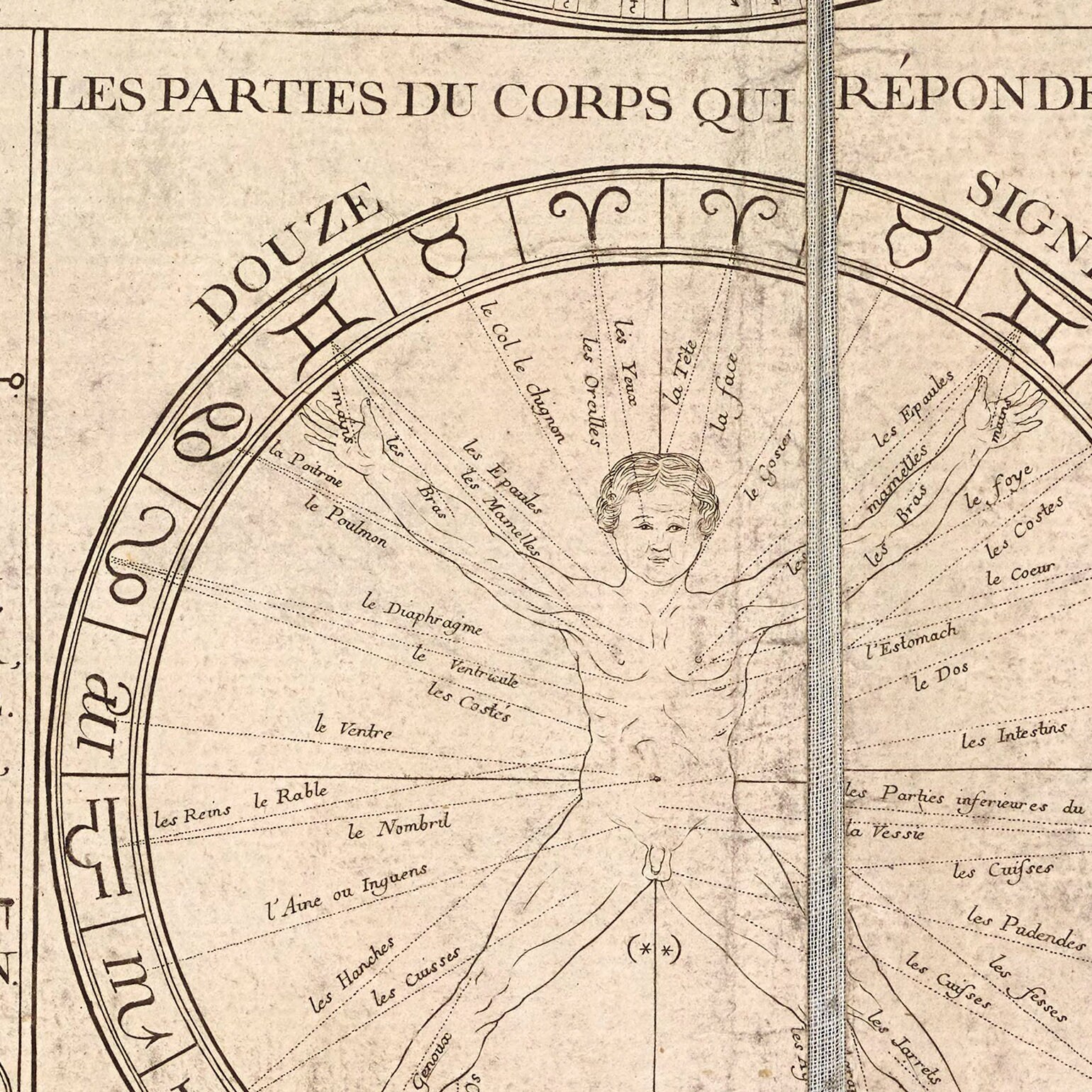 MAGIC Mysticism Chart - Prophets Occult Kabbalah Alchemy Universe ...